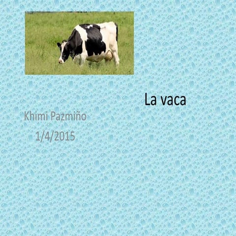 La vaca Khimi | PPTX