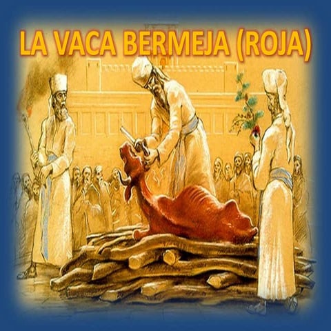 La vaca roja | PPTX