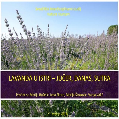 Lavanda jučer, danas, sutra | PPT