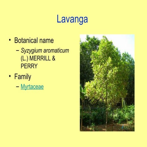 lavangam.ppt dravyaguna dg ppt preaseentation in english | PPT