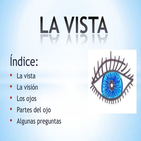 El sentido de la vista. | PPT