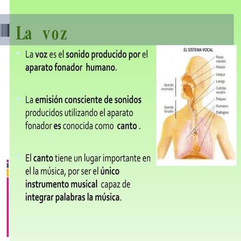 La Voz | PPT