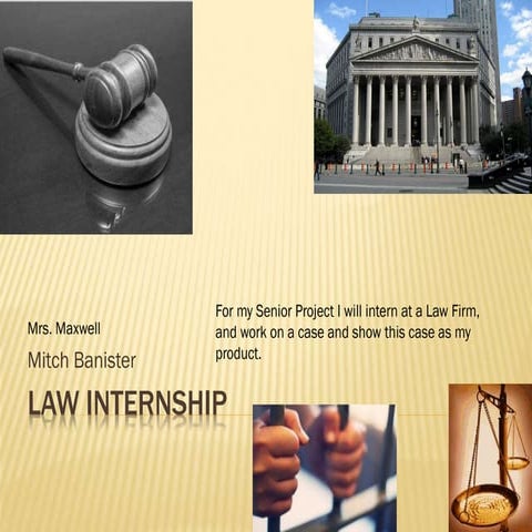 Law internship | PDF