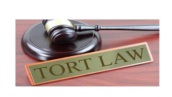 Lecture 10 law of tort | PPT | Injuries | Diseases and Conditions