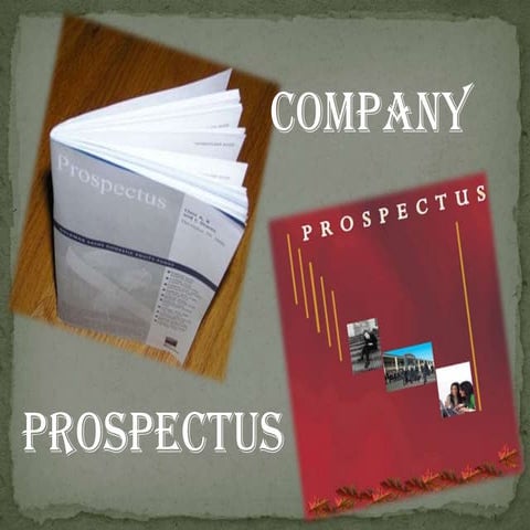 company prospectus | PPTX