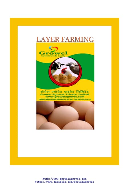 Beginners Guide to Layer Poultry Farming | PDF | Birds | Pets