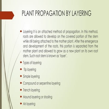 Layering.-propagation method........pptx