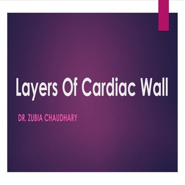 Layers Of Cardiac Wall.pdf