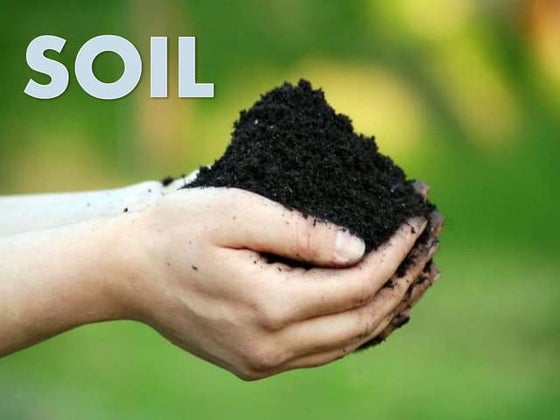 GRADE 4: DIFFERENT TYPES OF SOIL | PPTX