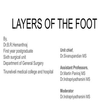 Layers of the foot new.pptxkkkkkkkkkkkkk | PPTX