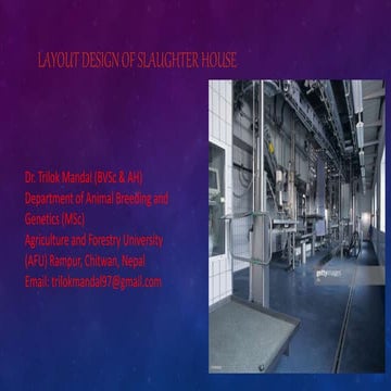 LAYOUT DESIGN OF SLAUGHTER HOUSE.pptx