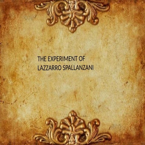 lazzarro experiment.pptxjjjllkjbjnkmmlmn | PPT
