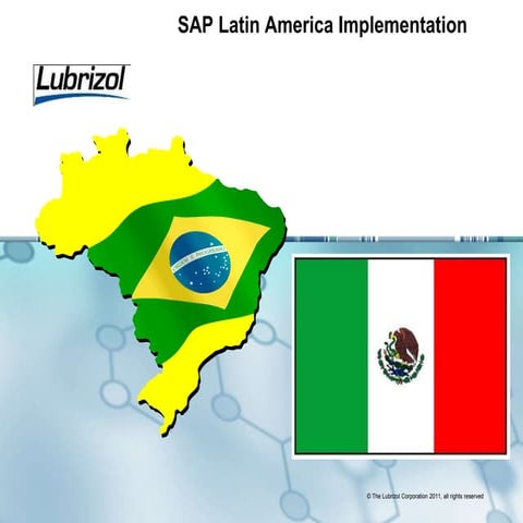 Brazil localization sap | PDF