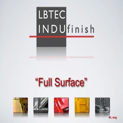 LBI General Presentation 2011 | PPT