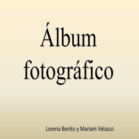 Diploma Babson 2014 | PDF