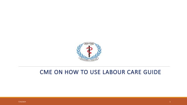 WHO labour guide.pdf