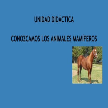 Unidad didáctica conozcamos los animales mamíferos | PPTX
