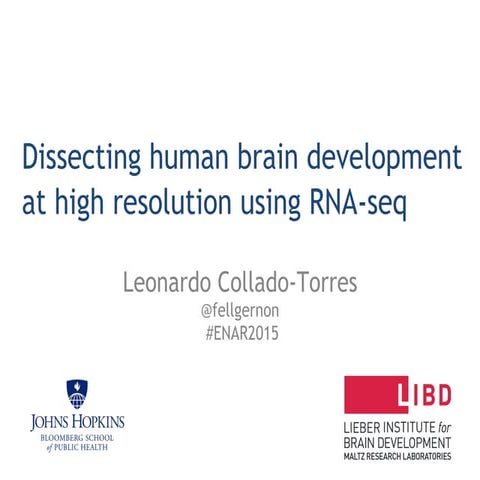 Dissecting human brain development at high resolution using RNA-seq | PDF