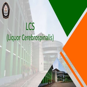 LCS ISTI fix.pptx