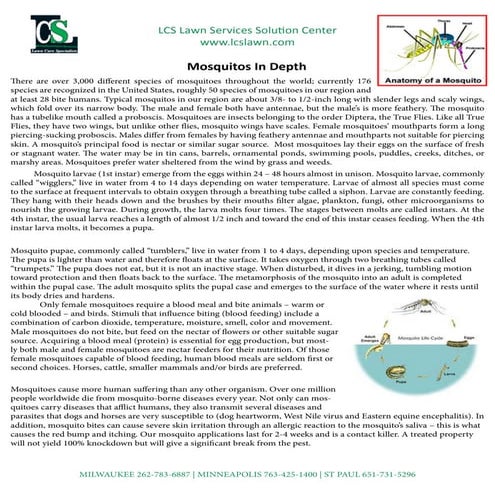 Mosquito lifecycle | PDF
