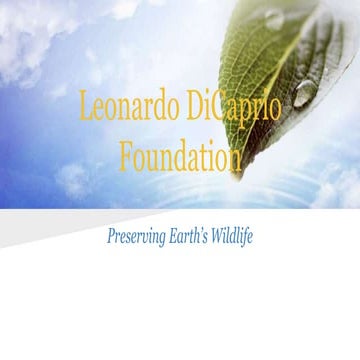 Leonardo DiCaprio Foundation | PPT