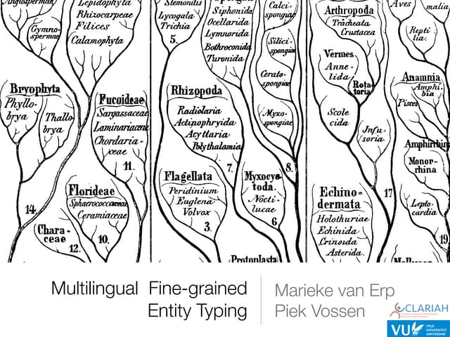 Multilingual Fine-grained Entity Typing | PDF Multilingual Fine-grained Entity Typing | PDF
