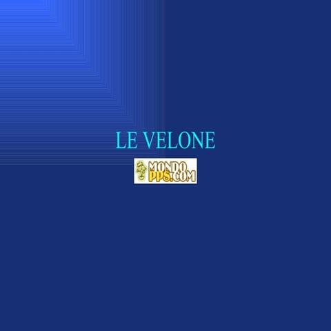 le veline | PPS