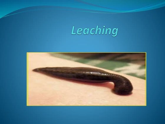 Hirudinaria - ppt -indian cattle leech,, | PPTX | Biological Sciences ...