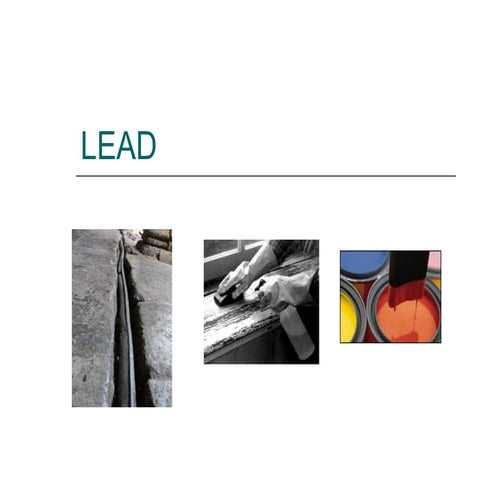 lead poisoning and it's effects on health.ppt
