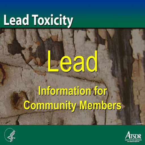lead_community.ppt