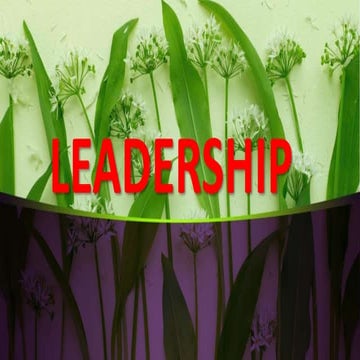 leadership and professionalism lecture.pptx