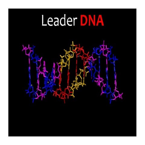 3 DNA del Leader | PPT