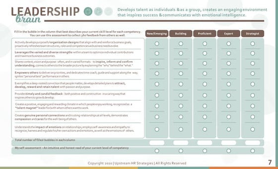 Domain Brain Self Assessment & Rating Scale | PPT