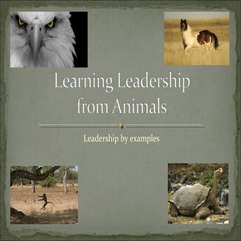 Leadership from animal kingdom | PPT