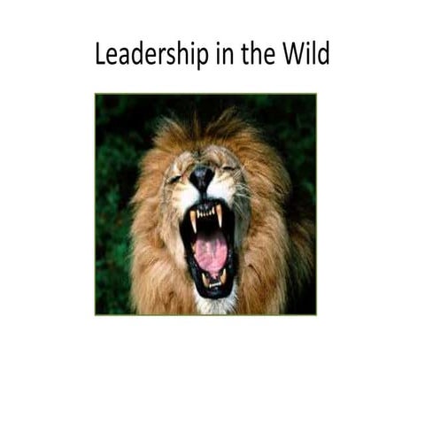 Leadership in the Wild presentation | PPTX | Business Administration ...