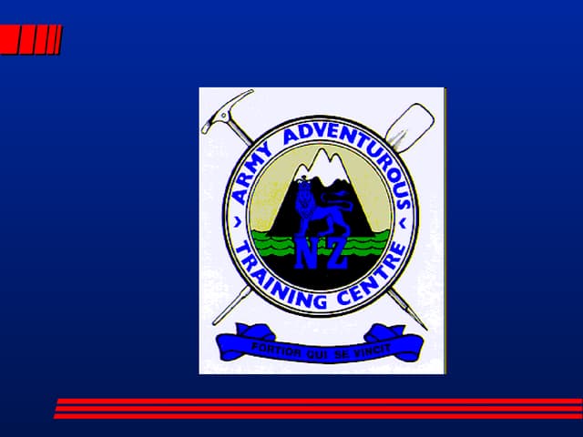 Basic army leadership | PDF