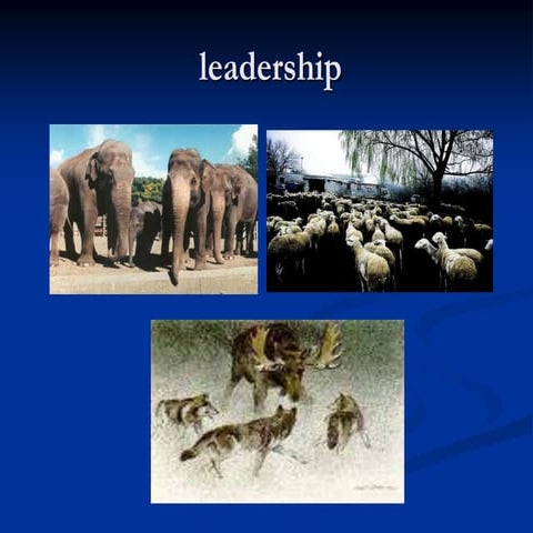 Leading | PPTX