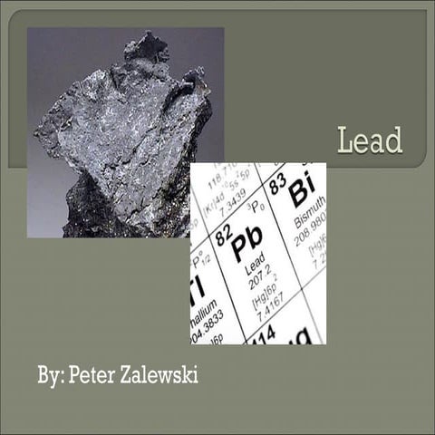 LEAD PRESENTATION | PPT