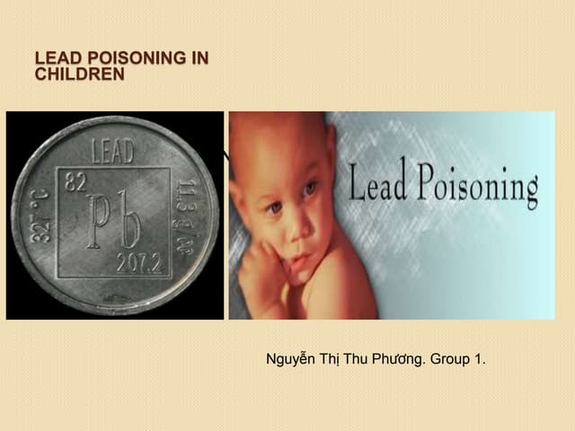 HUD Lead Paint Flyer | PDF