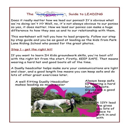 Understanding ponies | PDF