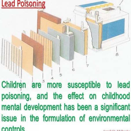 Lead Poisoning | PPT