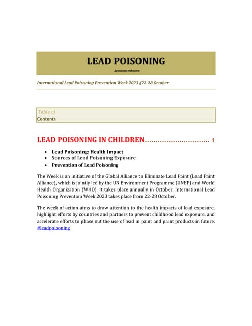 HUD Lead Paint Flyer | PDF