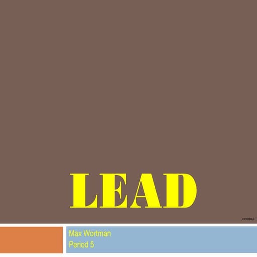 LEAD PRESENTATION | PPT