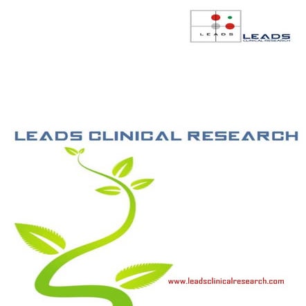Leadsbrochure | PDF