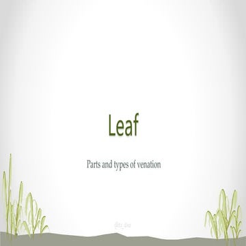 Leaf Pptx