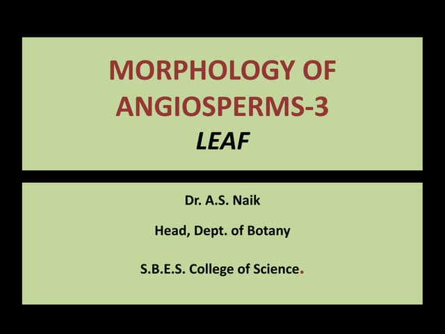 TYPES OF LEAF | PDF
