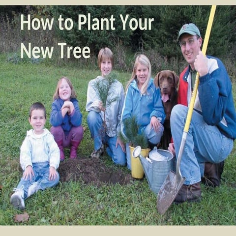 Plant Trees : A basic guide about how to plant trees | PPT