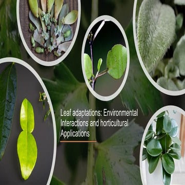 leaf adaptations: Environmental interactions and horticultural ...