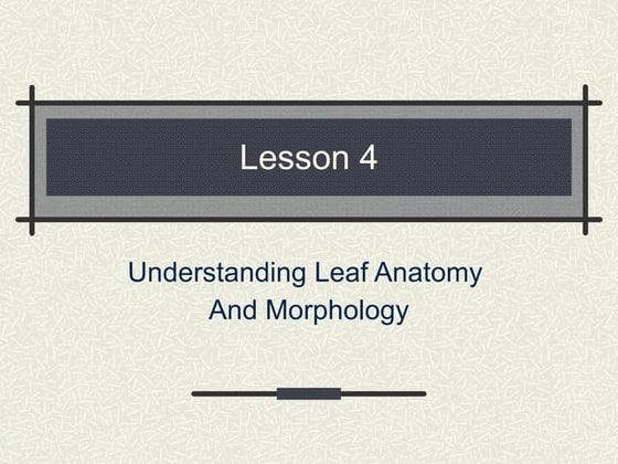 Leaf | PPTX | Gardening | Home & Garden