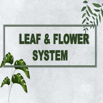 Leaf and Flower System.pptx